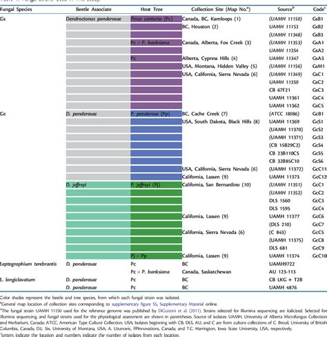 Table 1 From Comparative Genomics Of The Pine Pathogens And Beetle