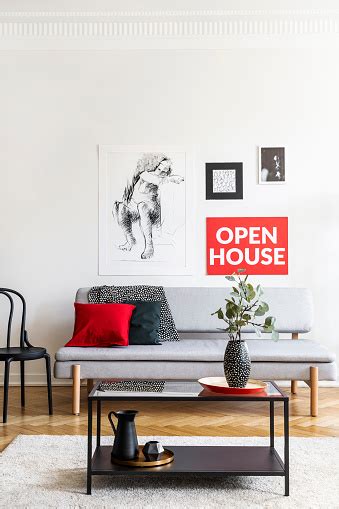 블랙의 자 옆 회색 세트 거실에서 베개와 담요가 있는 세 티 꽃 식물에 대한 스톡 사진 및 기타 이미지 꽃 식물 베개 0명 Istock