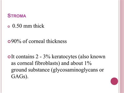 1 Anatomy Gment 1 Pptx