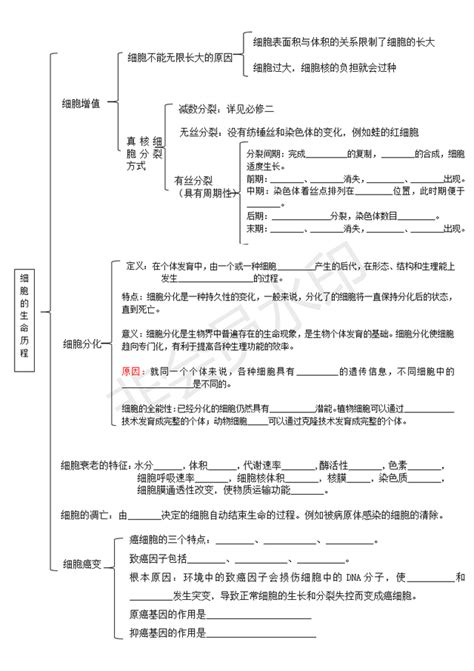 细胞代谢思维导图，代谢需要酶和atp的思维导图（带你学高中生物）犇涌向乾