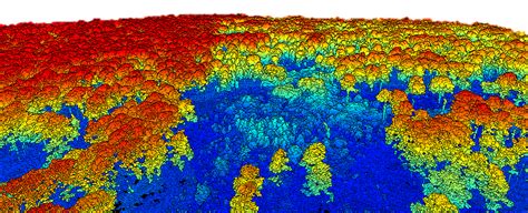 Module 1 Getting Started With Lidar Processing For Forestry And Natural Resources The Jones