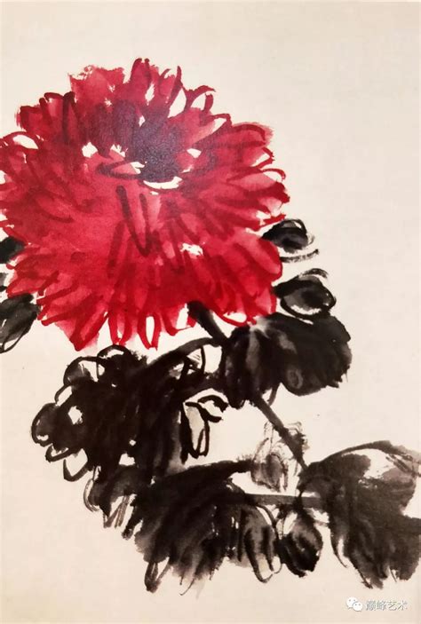 赏析国画花卉 搜狐大视野 搜狐新闻