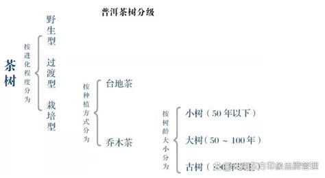 普洱茶分哪些等级，哪个档次好？