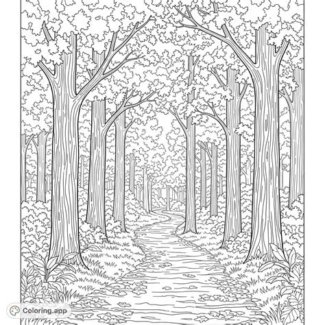 Serene Autumn Forest Path Coloring App