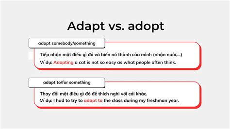 phân biệt giữa adopt và adapt trong tiếng anh một cách dễ hiểu