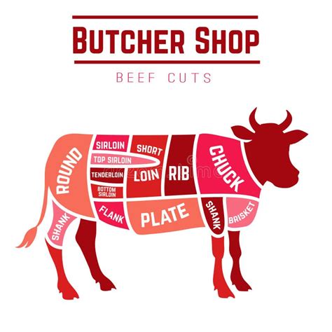 Cuts Of Beef Diagram Stock Vector Illustration Of Meat 52416368