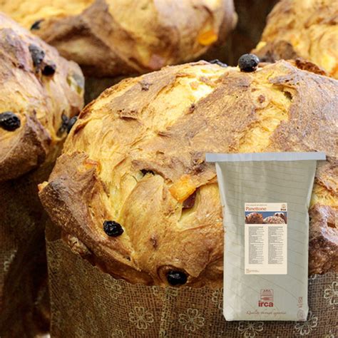 Irca Panettone — Neranxi