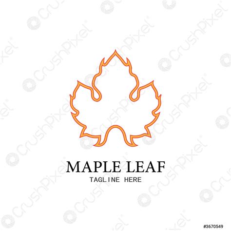 Maple Leaf Vector Illustration Stock Vector 3670549 Crushpixel