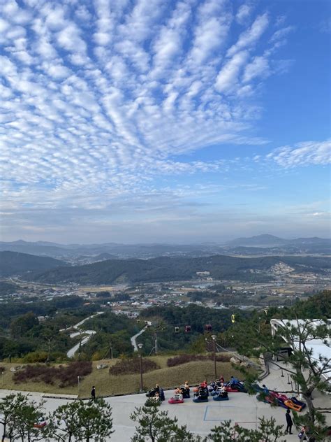 대꿀잼 강화 루지 강화씨사이드리조트 후기 강화도 당일치기 코스 추천 서울 근교 가볼만 한 곳 네이버 블로그
