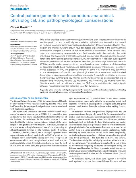 pdf central pattern generator for locomotion anatomical