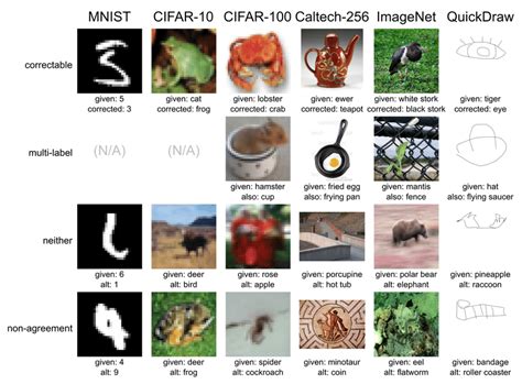 An Example Label Error From Each Category Sec 5 For Image Datasets
