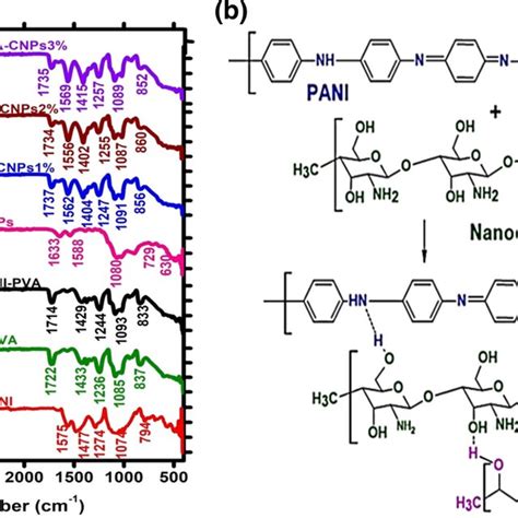 A Ftir Spectra Of Pva Pani Pani Pva Cnps Pani Pva Cnps 1 2