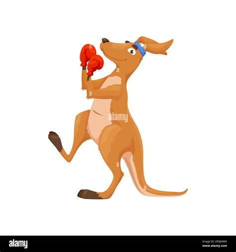 Cartoon Boxing Kangaroo Character Isolated Funny Vector Australian