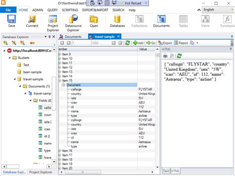 Couchbase DataView Nucleon Software