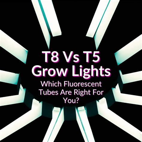 2ft X 18in 8lamps 200w To T5 Fluorescent Grow Lights Togo T5 Grow