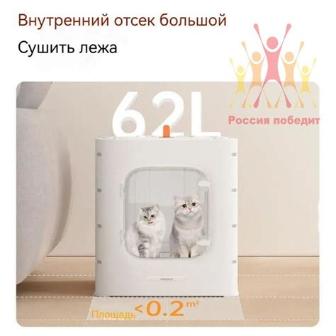 Сушилка для кошек и собак XIAOHOLI HGX60-001MINI - купить с доставкой ...