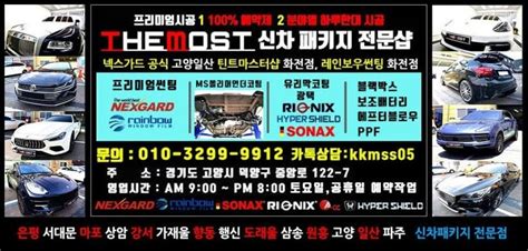 일산 신차패키지전문 카멀티샵 더모스트 팰리세이드 Ms폴리머언더코팅시공 네이버 블로그
