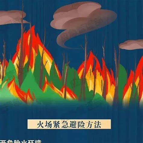 图说：遇到森林火灾如何避险？文化乐之春安居区