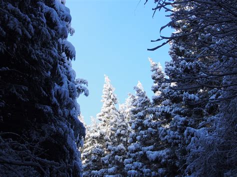 長浜市の雪事情とは一部山沿いは全国有数の豪雪地地域差大 奈良まちジオグラフィック