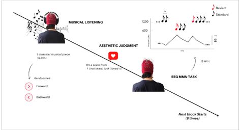 Experiment 1 Experimental Paradigm The Sequence Of Deviant And