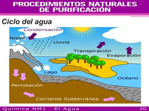Potabilizacion Del Agua