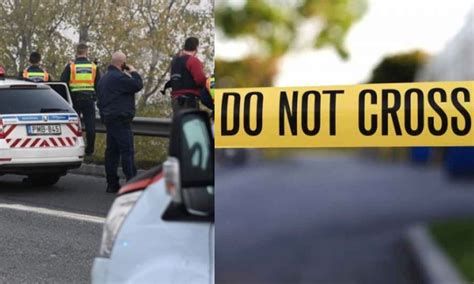 მამაკაცმა ძარცვის დროს ერთი პოლიციელი მოკლა ორი კი დაჭრა Metronome Ge