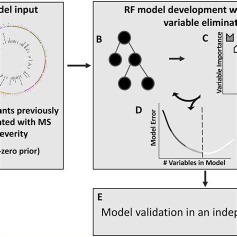 Schematic Diagram Of The Random Forest Rf And Variable Elimination Download Scientific
