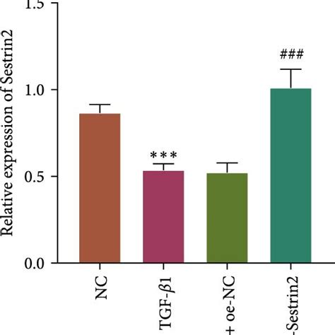 Sestrin2 Overexpression Reduces Endoplasmic Reticulum Stress And