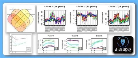 R实战 Ngs数据时间序列分析 Masigpro 知乎