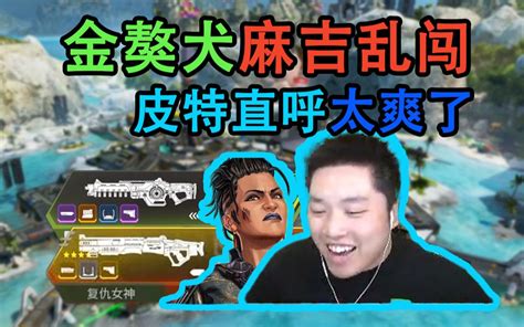 皮特：复仇女神3下一只25杀，站高点把水友当靶子刷，太出生了呀 凤梨气泡韭 凤梨气泡韭 哔哩哔哩视频