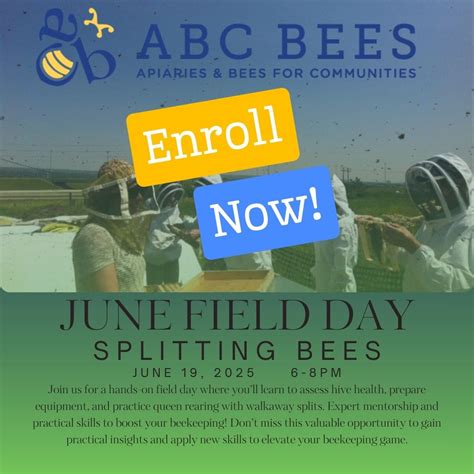 Beekeeping 101 June Abc Bees