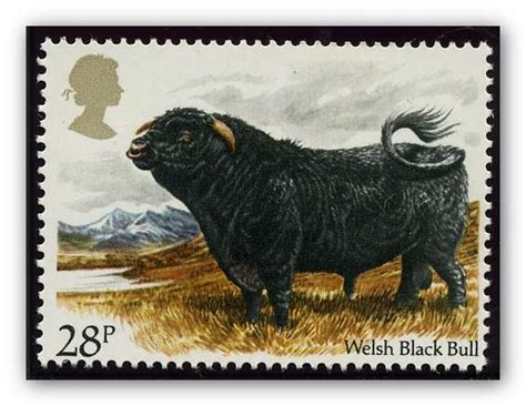 Herd Of Cattle Bulls Cows And Calves On Stamps Stamp Community Forum