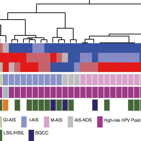 Heat Map With Two Way Hierarchical Clustering Analysis Based On Cldn18