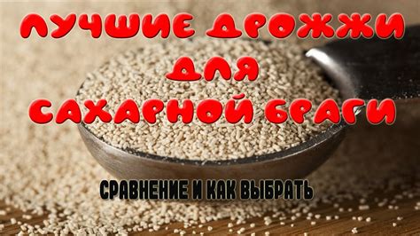 Лучшие дрожжи для сахарной браги. Какие дрожжи выбрать для обычной ...