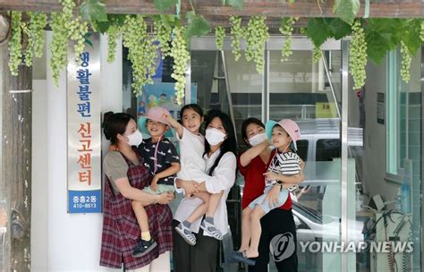 여름 청포도 주렁주렁 연합뉴스