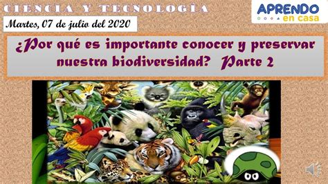 ¿por Qué Es Importante Conocer Y Preservar Nuestra Biodiversidad Parte