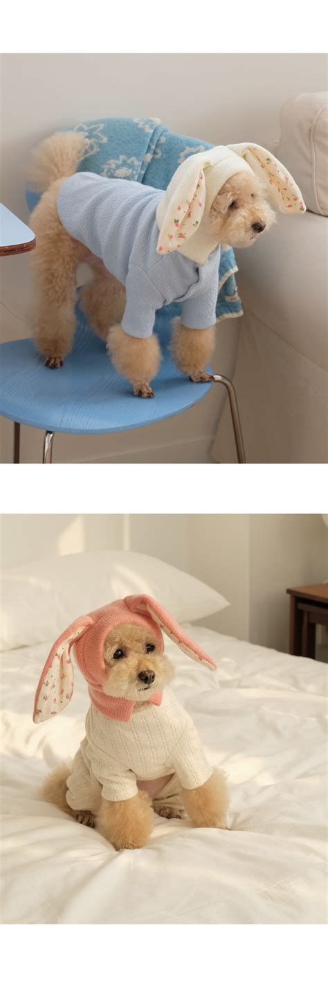 강아지 모자 강아지 바라클라바