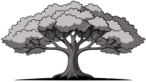 Premium Vector Oak Tree Vector Art Designs For Your Projects