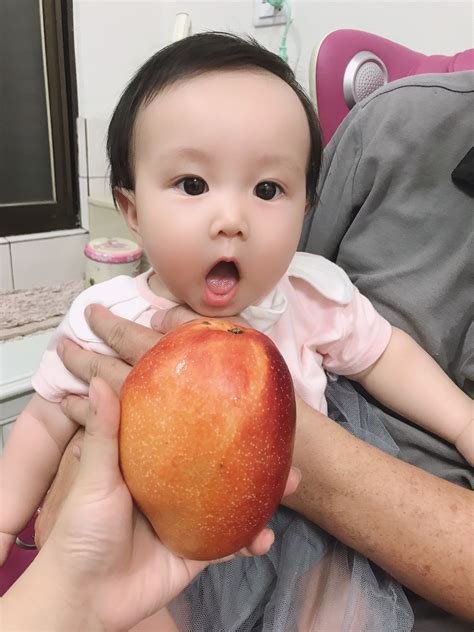 自家 愛文芒果收成啦 看板 Tainan 批踢踢實業坊