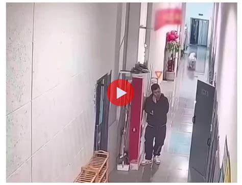 한때 핫했던 방탈출카페 Cctv ㄷㄷㄷㄷ Mp4 유머 움짤 이슈 에펨코리아