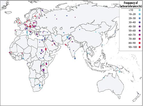 Lactose Intolerance Map