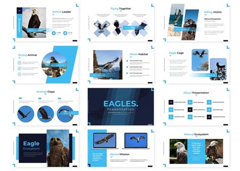 Eagles Powerpoint Template Design Template Place