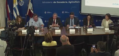 El 91 De La Población Rechaza La Captura Y Sacrificio De Perros