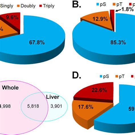 The Data Statistics Of The Human Liver Phosphoproteomic Analysis A