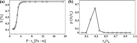 Results Of The Numerical Simulation Of Mercury Intrusion Porosimetry A