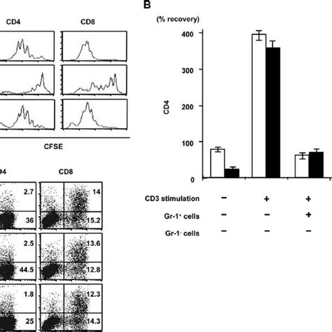 Mdsc Inhibit T Cell Proliferation But Not Ifn ␥ Production In Vitro
