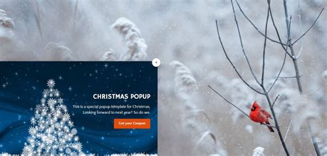 Wowpopup Wordpress Popup Plugin By Wowthemesnet Codester