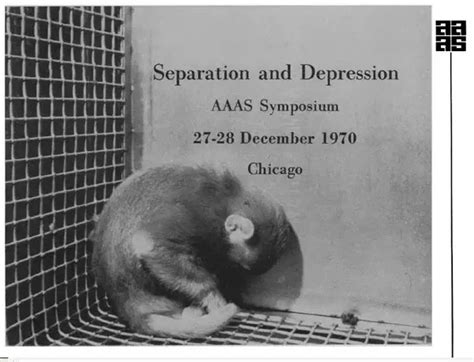 What Are The Effects Of Avoiding Staying Away From Sex For A Long Time For A Woman Quora