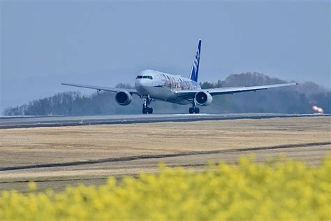 春なのに間もなくお別れだね GANREF