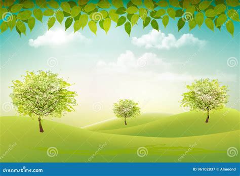 Summer Nature Background With A Green Trees And Landscaper Stock